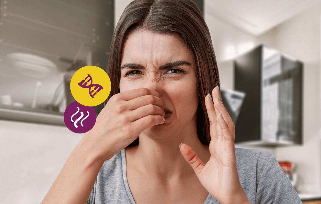 Sentir Cheiro De Barata Espiritualidade - RETOEDU