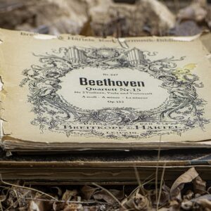 Blog Genera | Genera