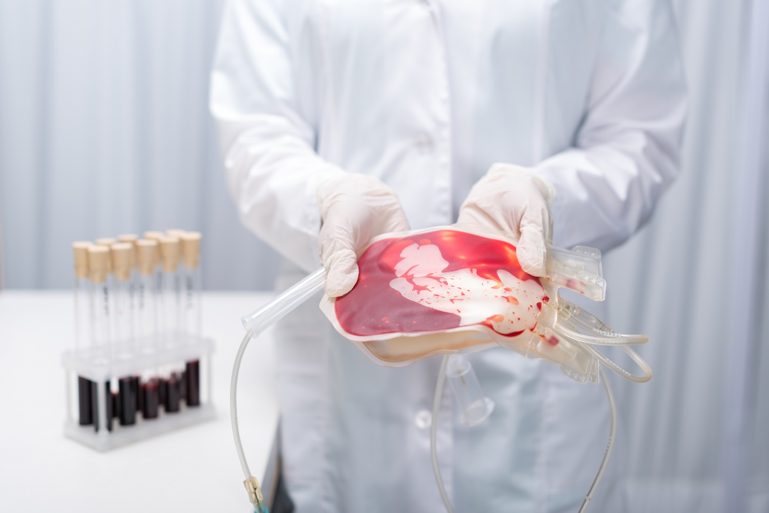 Donación de sangre: historia, mitos y quiénes pueden donar - Genera